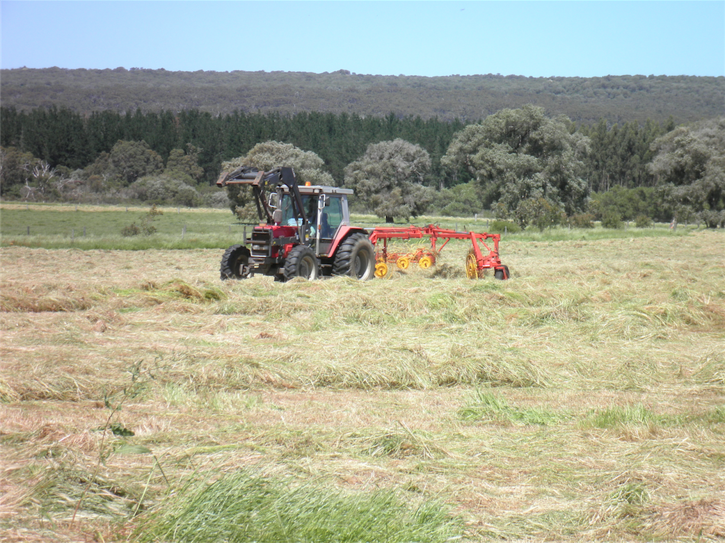 Benefits Of Prime Grass-Fed Beef - Leeuwin Grass-Fed Beef