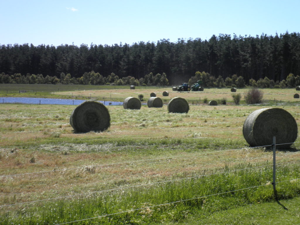 Our Farm Gallery