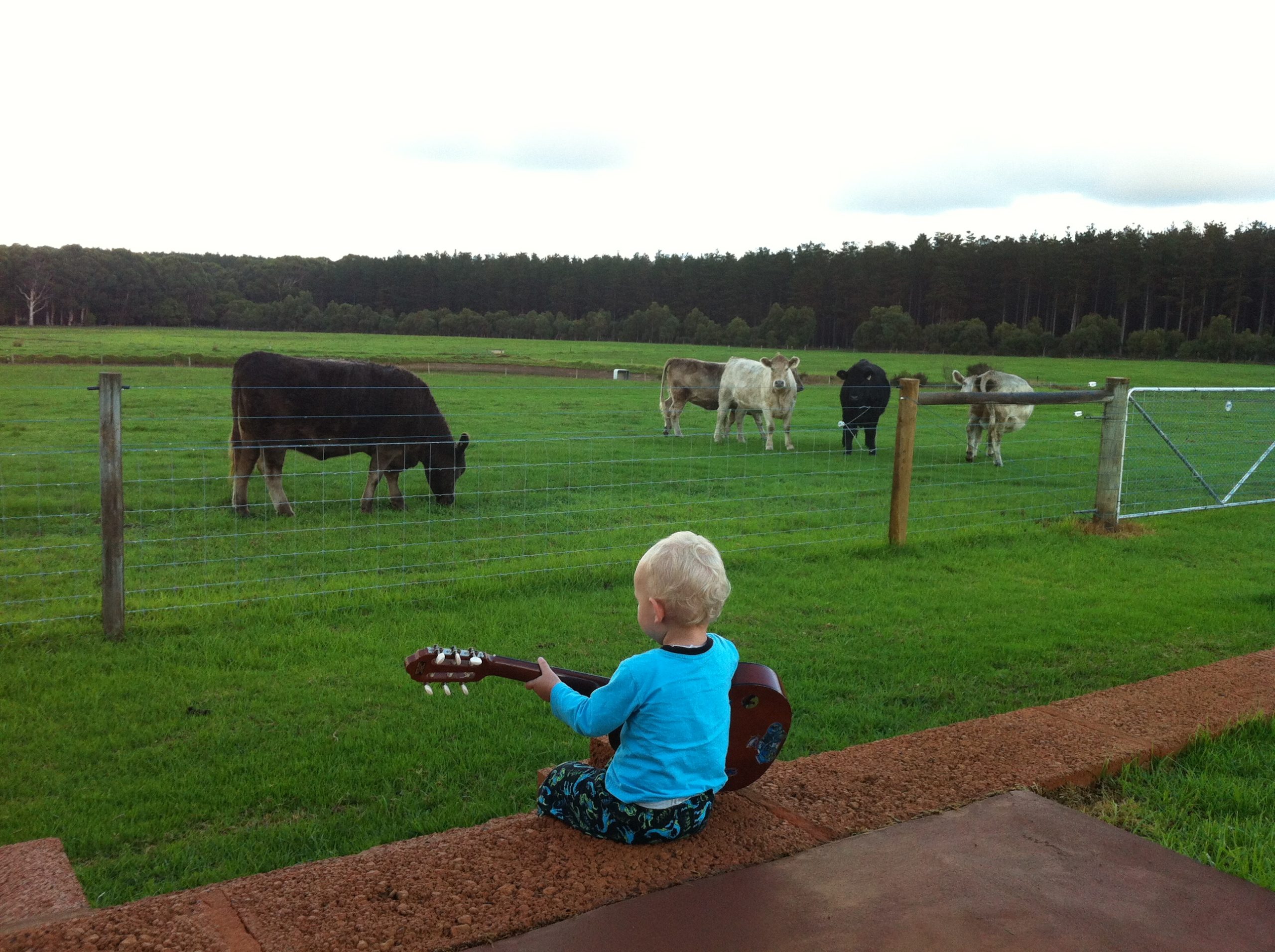 Our Farm Gallery
